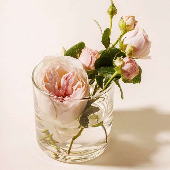 Shop – The Liquid Wanderer